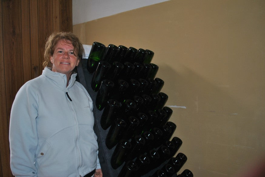Buy Cinzia Bergaglio, Gavi di Tassarolo ‘La Fornace’ | Piemonte | Italy ...